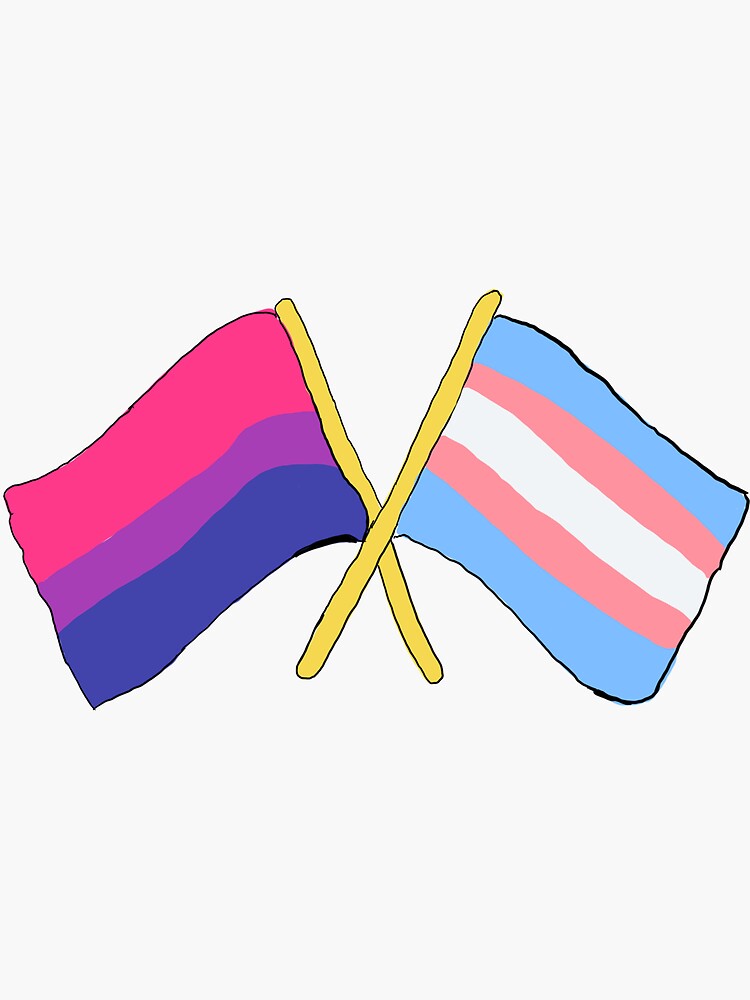 "bi and trans solidarity flag" Sticker for Sale by Madison Uses | Redbubble