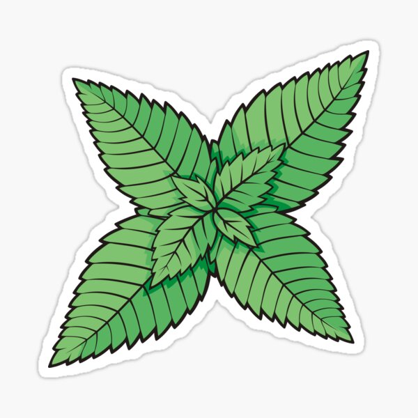 "Mint Leaves" Sticker for Sale by sifis | Redbubble