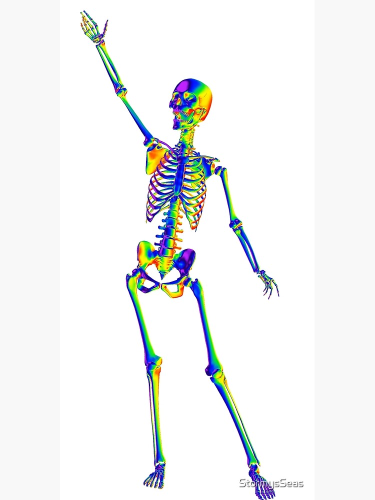 "Gay Pride Skeleton" Poster by StormysSeas | Redbubble