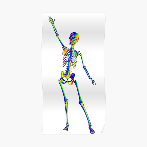 "Gay Pride Skeleton" Poster by StormysSeas | Redbubble