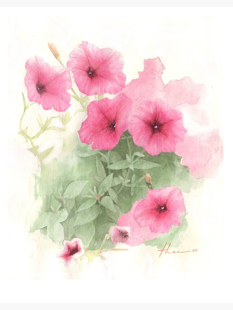 "Petunia Watercolor" Poster for Sale by mtheuer | Redbubble