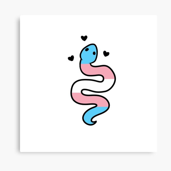 "Trans Pride Snake" Canvas Print for Sale by avesmx | Redbubble