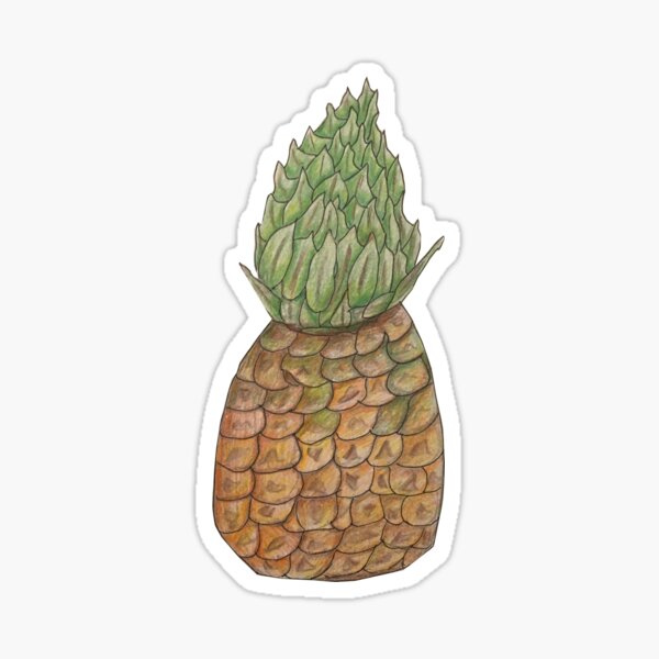 "Pineapple Drawing" Sticker by BKro21 | Redbubble