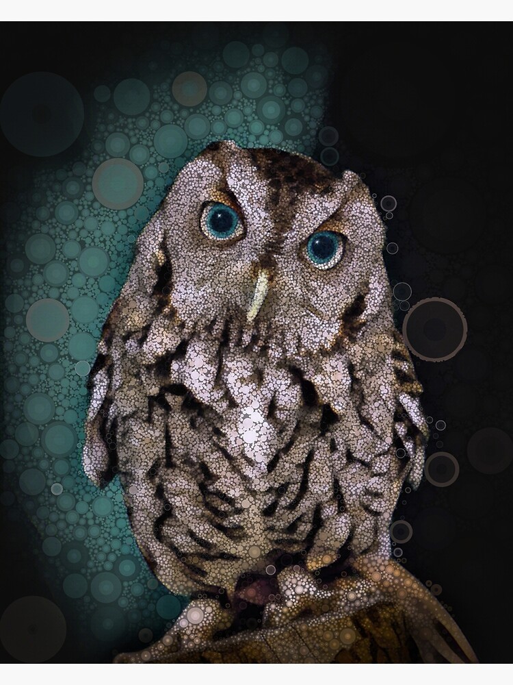"Owl Blue Eyes" Photographic Print by Heathermarie321 | Redbubble