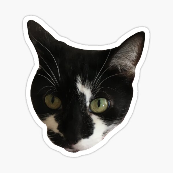 "Woh" Sticker for Sale by JamGoesOnToast | Redbubble