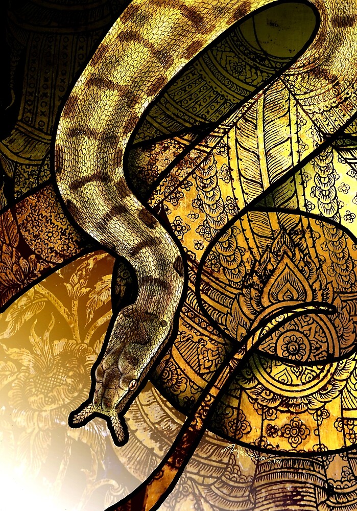 "Tentacled Snake" by CulpeoFox | Redbubble