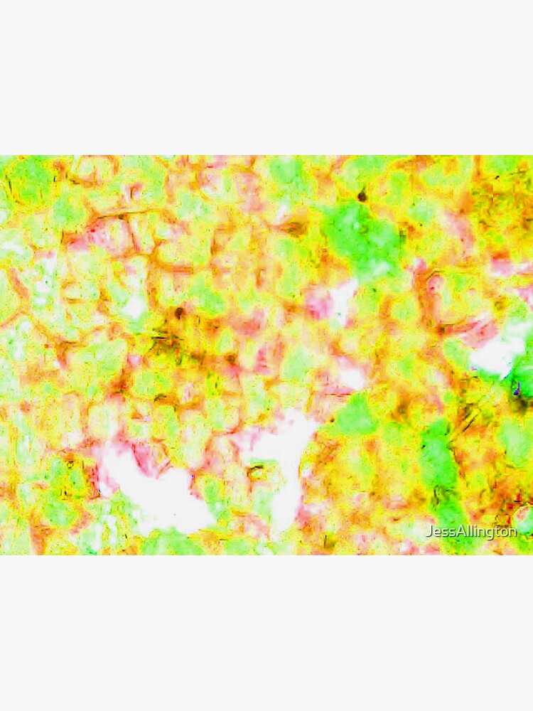 "Sun Micro" Sticker for Sale by JessAllington | Redbubble