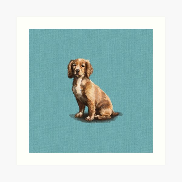 Sprocker Spaniel Art Prints | Redbubble