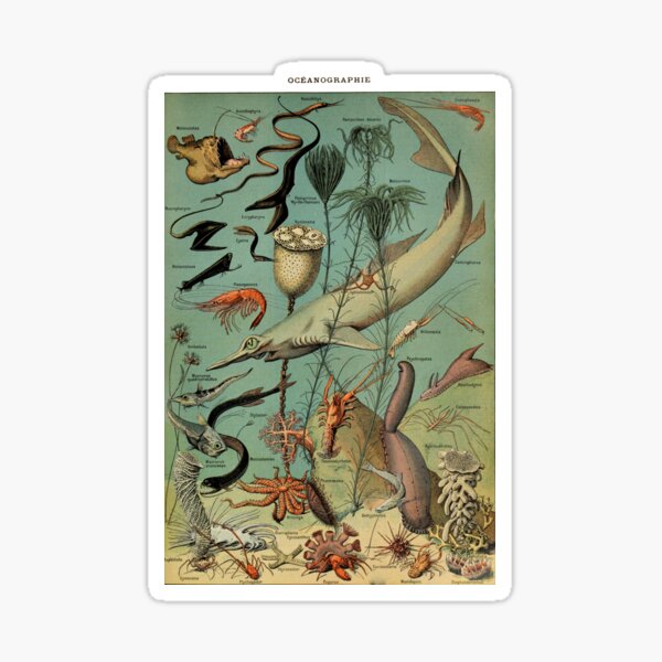 "Vintage Ocean Chart 1" Sticker for Sale by thevintagequeen | Redbubble
