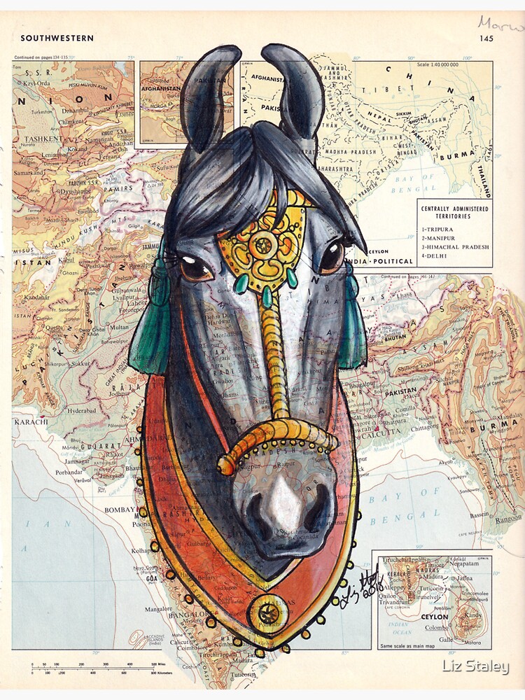 "Marwari Horse on Map" Sticker by DynamiteCandy | Redbubble