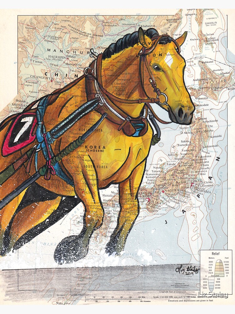 "Ban'ei Horse on Map" Sticker for Sale by DynamiteCandy | Redbubble