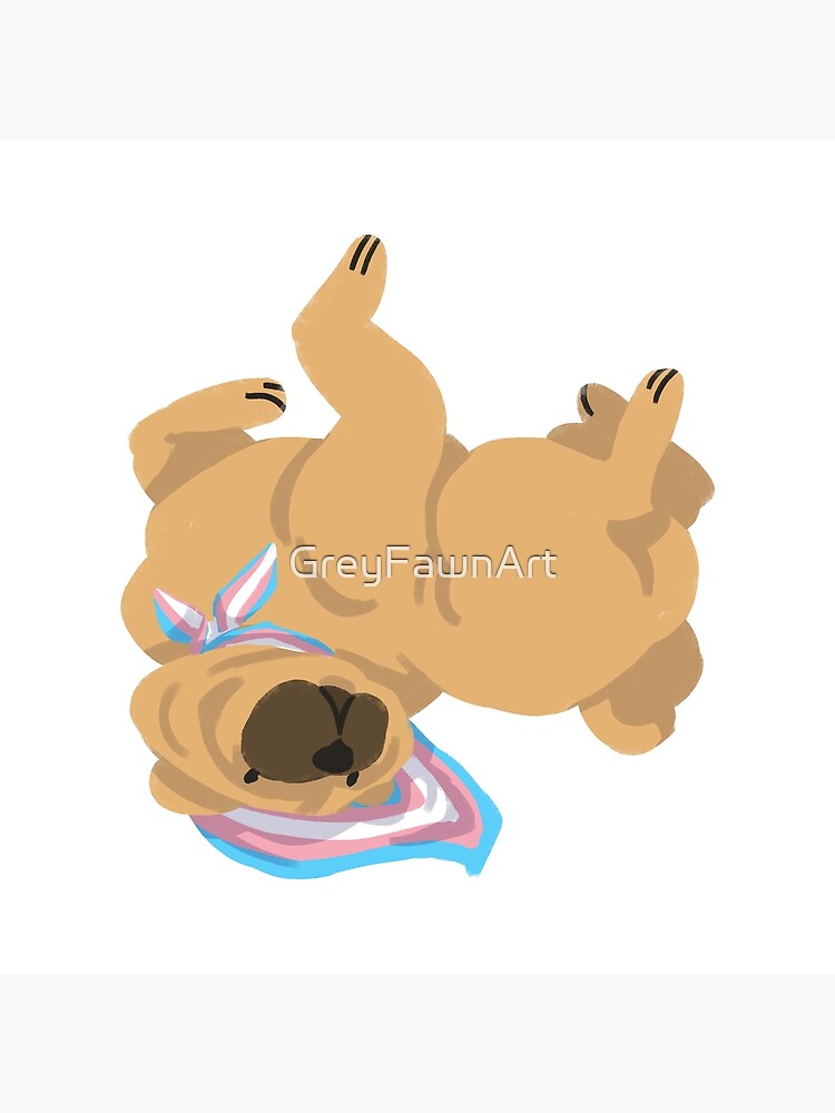 "Trans Pride Dog" Poster for Sale by GreyFawnArt | Redbubble