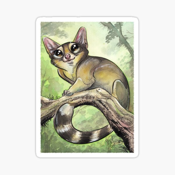 "Ringtail" Sticker by mariana-moreno | Redbubble