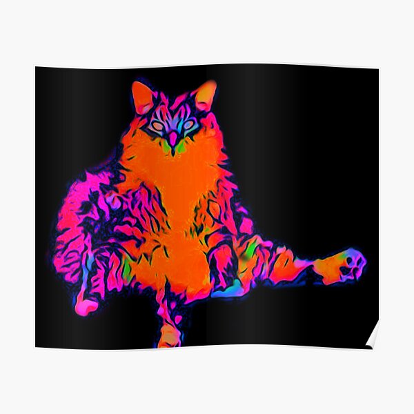 ""Chester" Fat Cat" Poster by mushroom13art | Redbubble