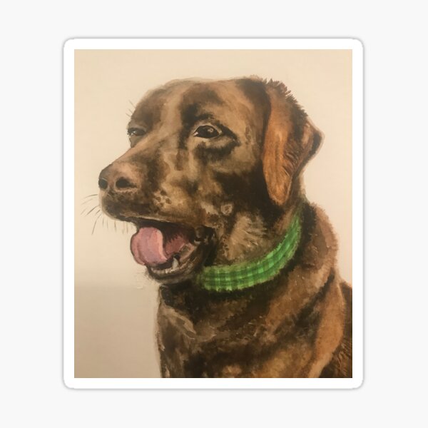 "Yawning Chocolate Labrador " Sticker for Sale by AlisonMarshArt ...