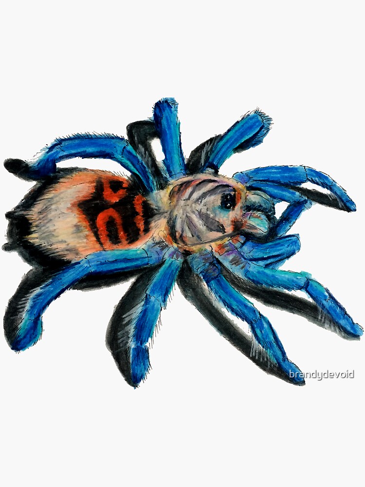 "Green Bottle Blue Tarantula" Sticker for Sale by brandydevoid | Redbubble