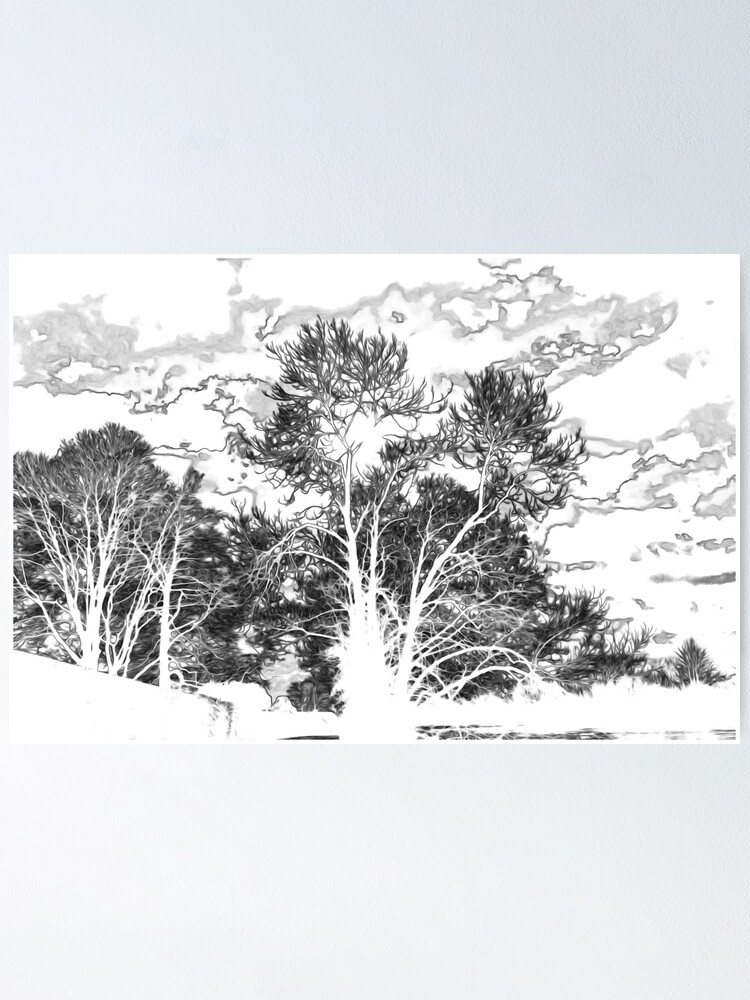 "Trees - swirl line art" Poster by OlympiaEllinas | Redbubble