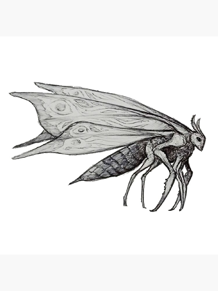 Mothra Drawing