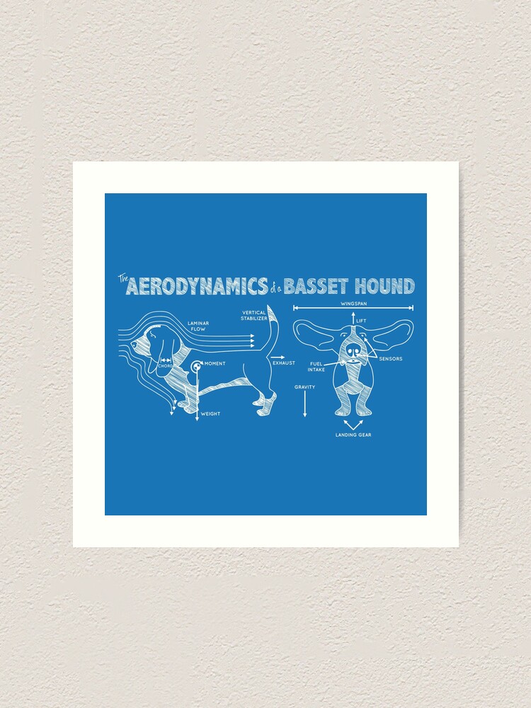 "The Aerodynamics of a Basset Hound" Art Print by robyriker | Redbubble
