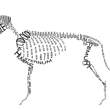 "Typographic Dog Skeleton" Sticker for Sale by howlinglights | Redbubble