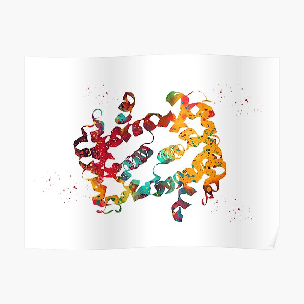 "Hemoglobin" Poster by erzebetth | Redbubble