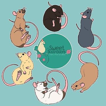 "Rat Sticker Set" Sticker for Sale by Holly Wells . Sweet Illustrations ...