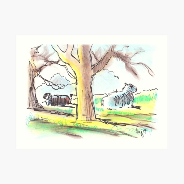 "Sheep lying under trees drawing" Art Print for Sale by MikeJory ...