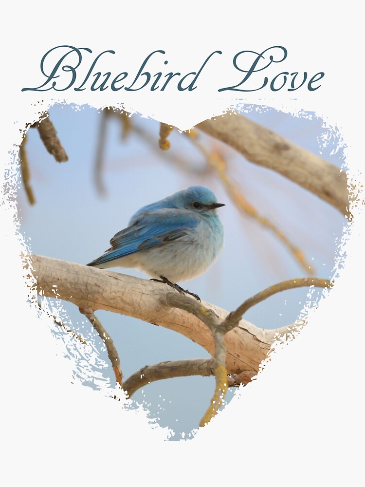 "Bluebird Love" Sticker for Sale by Whisperingpeaks | Redbubble