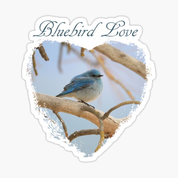 "Bluebird Love" Sticker for Sale by Whisperingpeaks | Redbubble