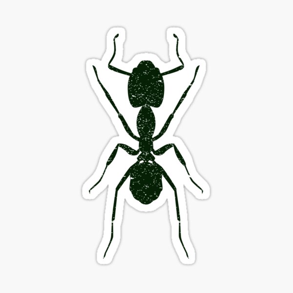 "Ant" Sticker for Sale by hypnotzd | Redbubble
