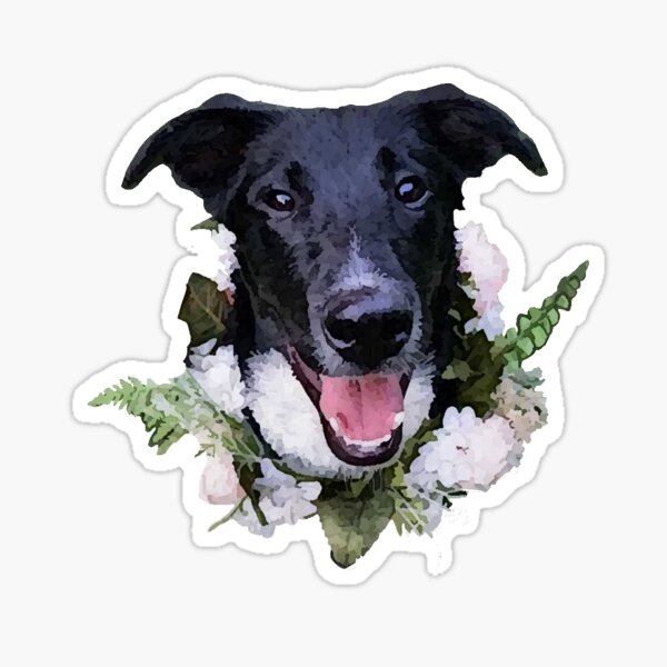 "Duck" Sticker by Mdemmin | Redbubble