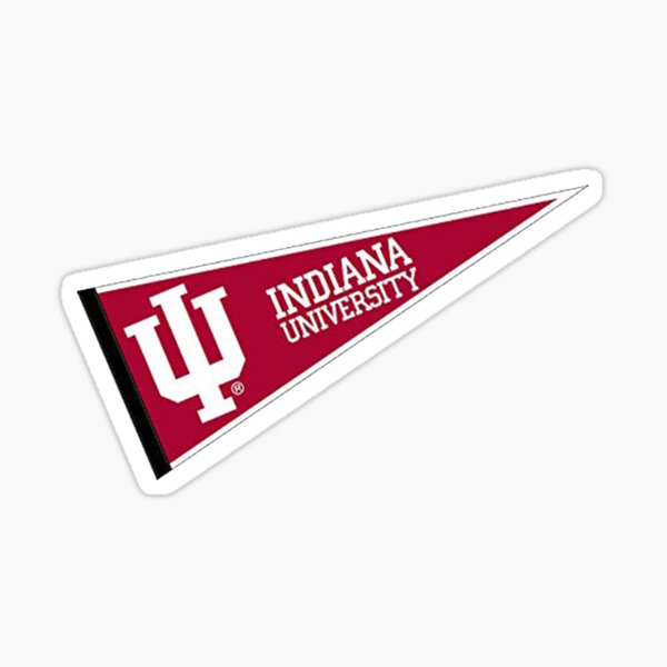 Iu Stickers | Redbubble