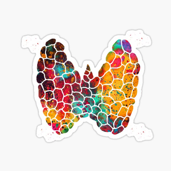 "Thyroid gland" Sticker by erzebetth | Redbubble
