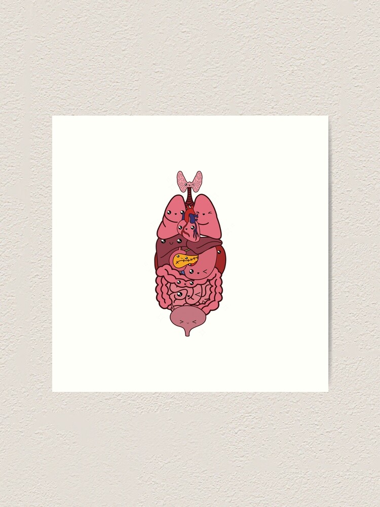 "Kawaii Organ Anatomy Set" Art Print by lulubeeart | Redbubble
