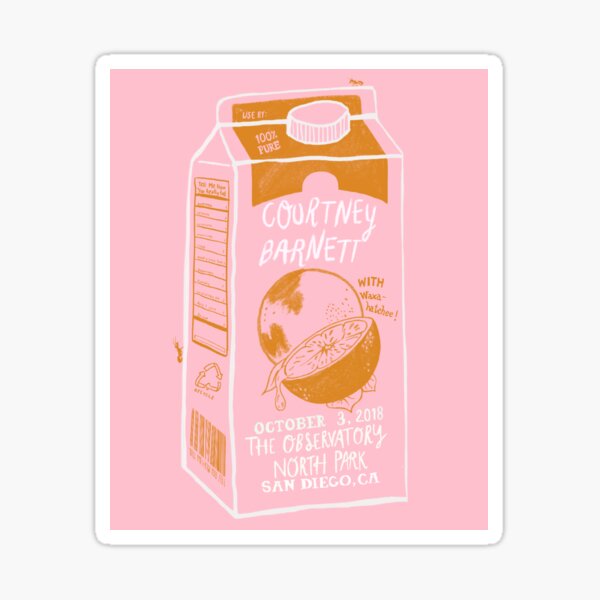 Courtney Barnett Stickers | Redbubble