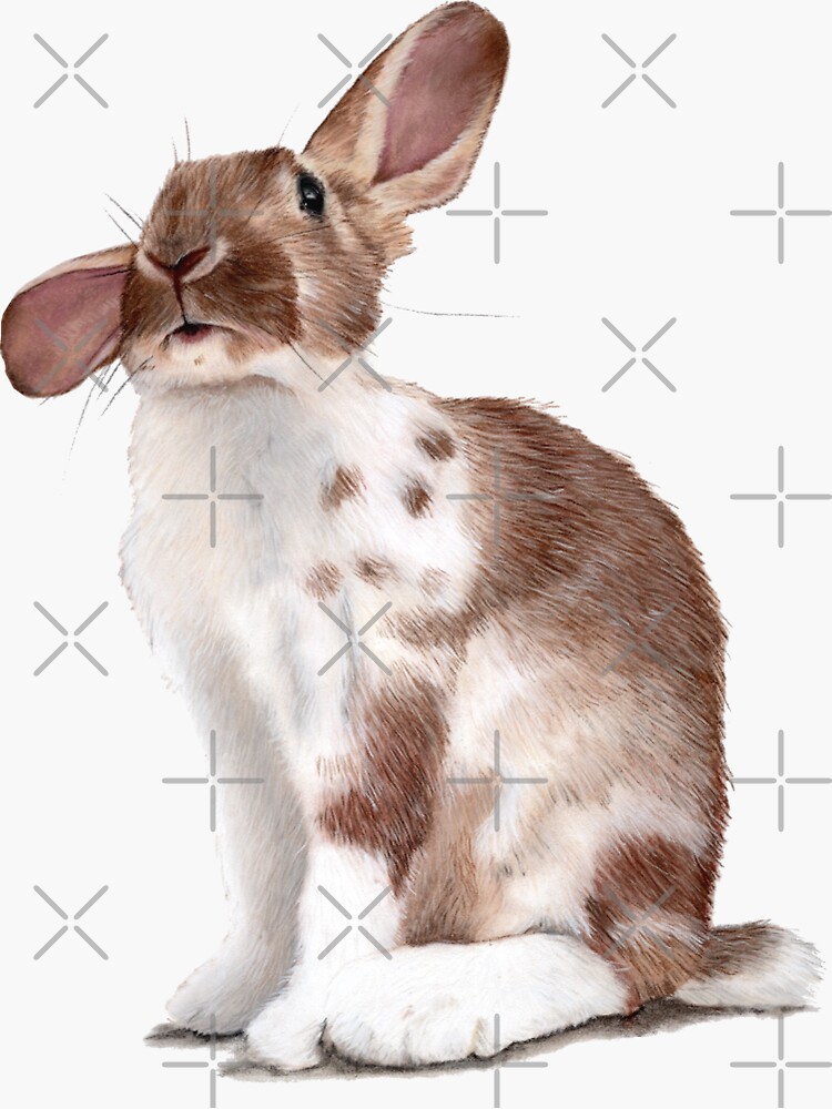 "Dumbo the Flying Bunny" Sticker by Pitema | Redbubble