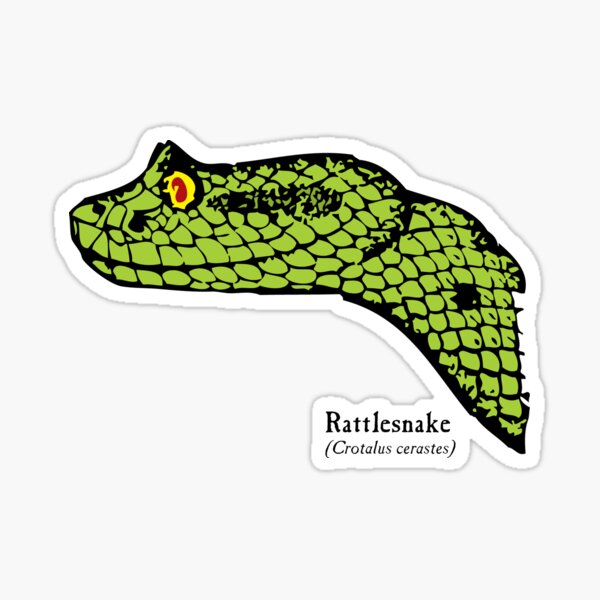 "SideWinder" Sticker by Brubarell | Redbubble