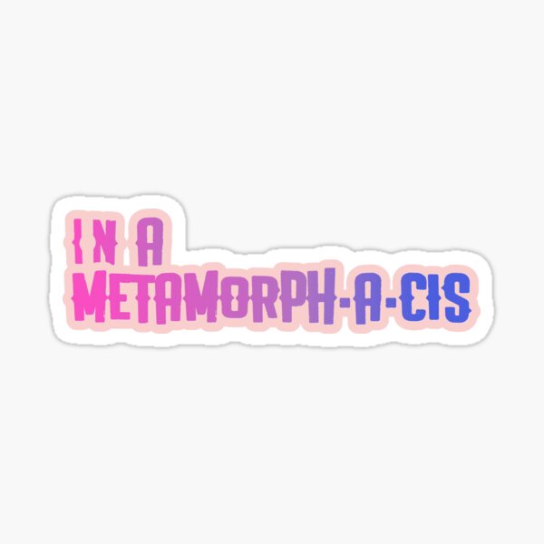 "In a Metamorphosis Transition Cis Transgender Pride Pun Flag Tee ...