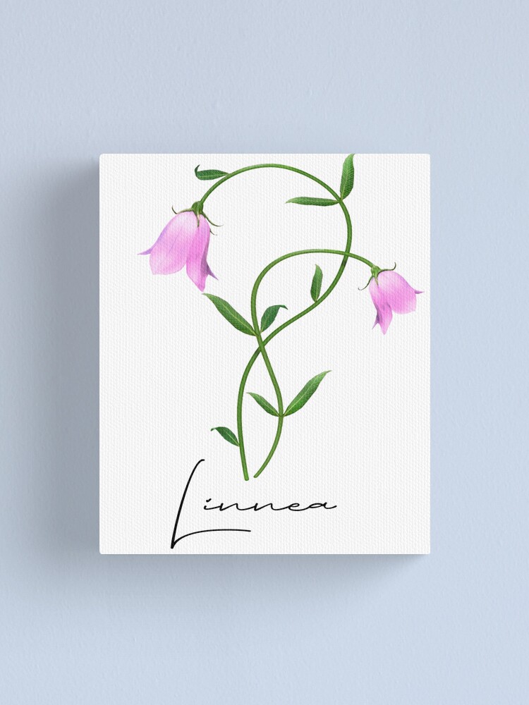 "Nordic Wildflower Linnea Twinflower Pretty Pink Flowers floral" Canvas ...