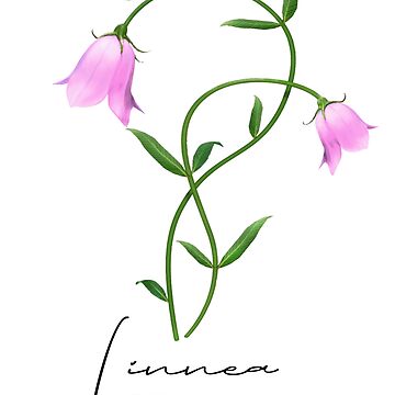 "Nordic Wildflower Linnea Twinflower Pretty Pink Flowers floral" Canvas ...
