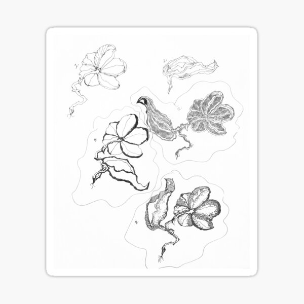 "ACADEMY ART DESIGN 21 PRELIMINARY SKETCH" Sticker for Sale by Tammera ...