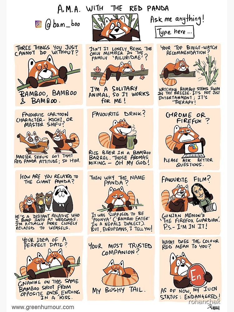 "Ask Me Anything wit Red Panda" Art Print by rohanchak | Redbubble