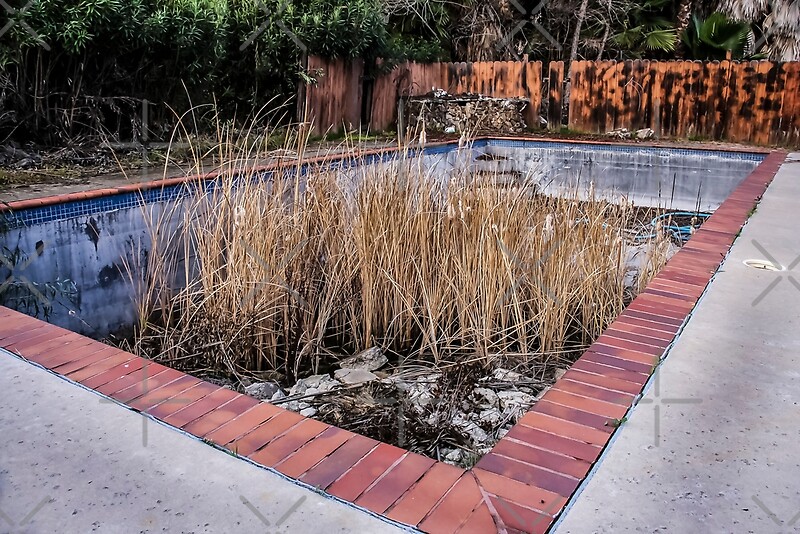 "Abandoned and Forgotten Swimming Pool " by Heather Friedman | Redbubble