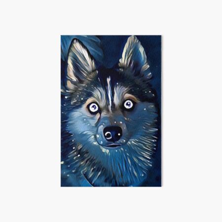 "Pomsky" Art Board Print by ChrisButler | Redbubble