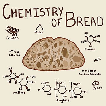 "Chemistry Of Bread" Art Board Print for Sale by BundaBear | Redbubble