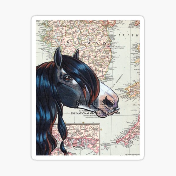 "Gypsy Vanner Horse on Map" Sticker for Sale by DynamiteCandy | Redbubble