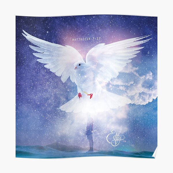 "Dove" Poster by Edify | Redbubble