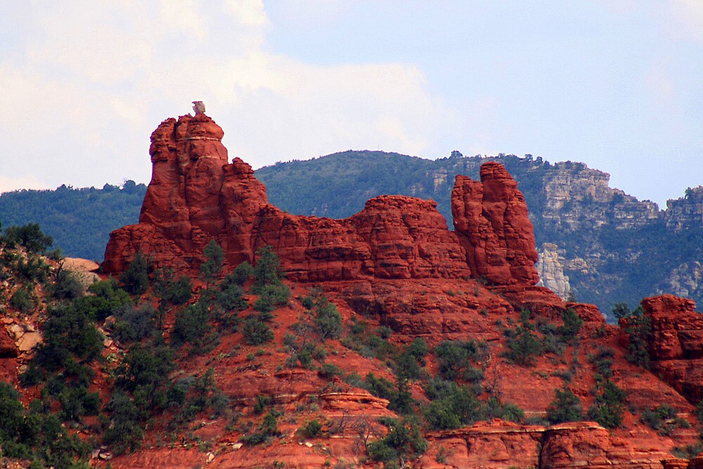 "Snoopy rock" by Travis Niebuhr | Redbubble
