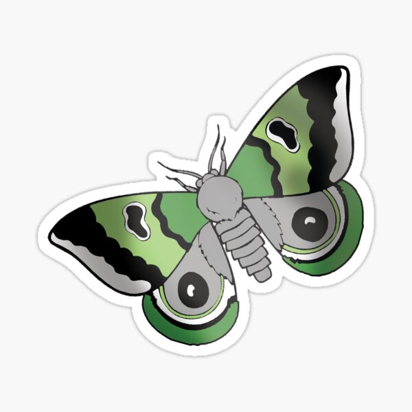 "Aromantic Pride Moth 2" Sticker for Sale by holesinyourlung | Redbubble