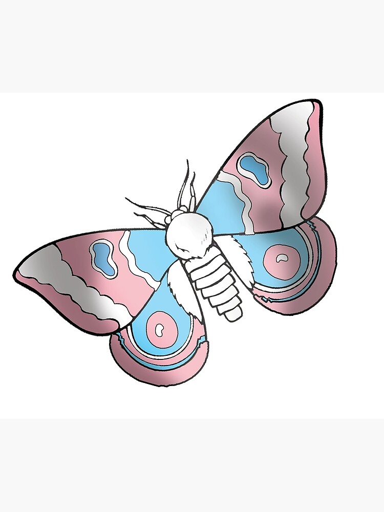 "Transgender Pride Moth" Poster for Sale by holesinyourlung | Redbubble